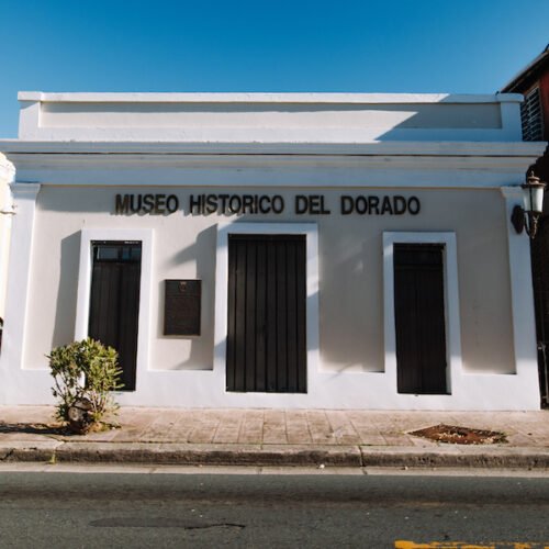 Bronx Puerto Rican Day Parade | Boricua.com